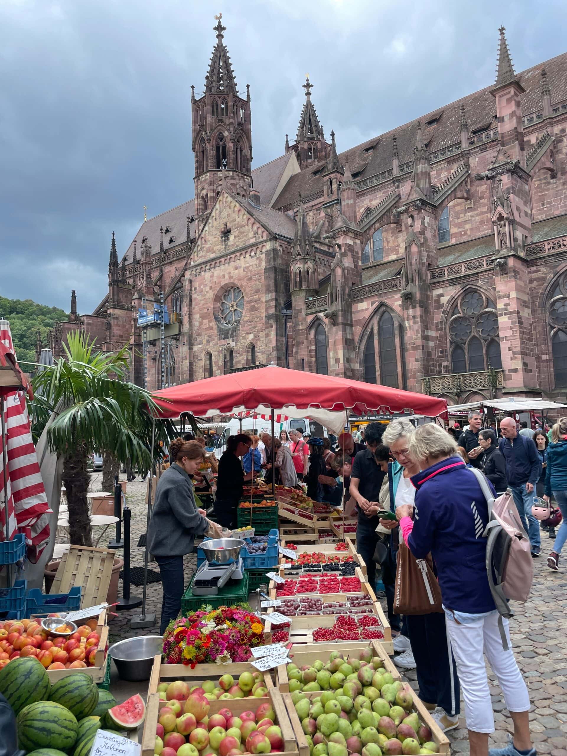 Where to Stay in Freiburg im Breisgau in 2026 - My Germany Vacation