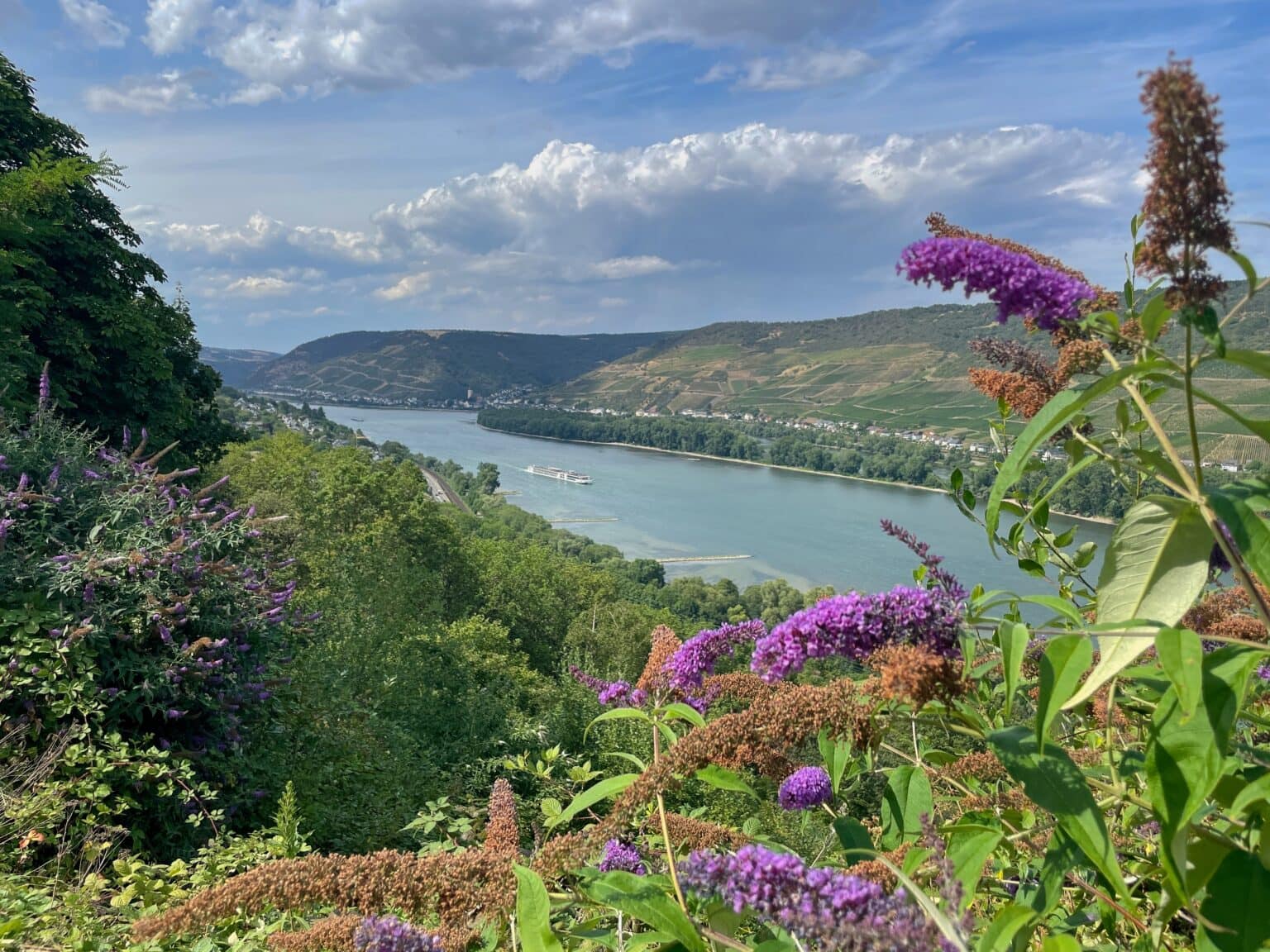 Where to Stay in the Rhine Valley, Germany in 2025 - My Germany Vacation