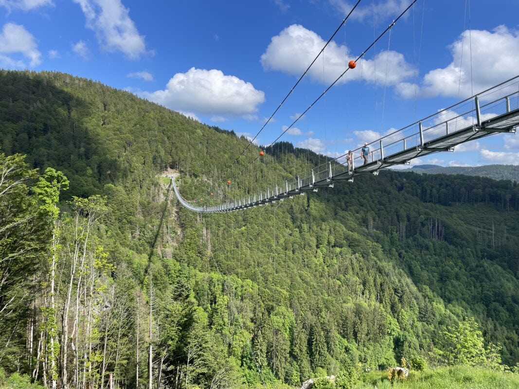 Summer in Germany: 19 Beautiful Places to Visit & Things to Do - My ...